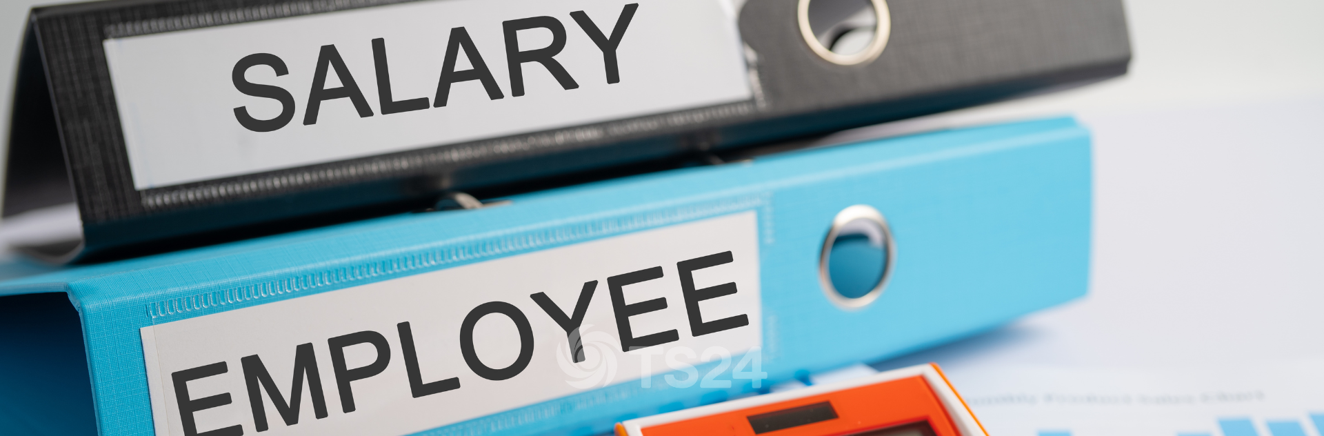 Tổng hợp các hình thức trả lương phổ biến hiện nay | TS24